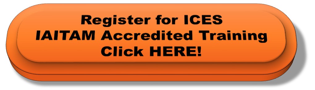 ICES – Intelligence Consulting Enterprise Solutions, Inc.